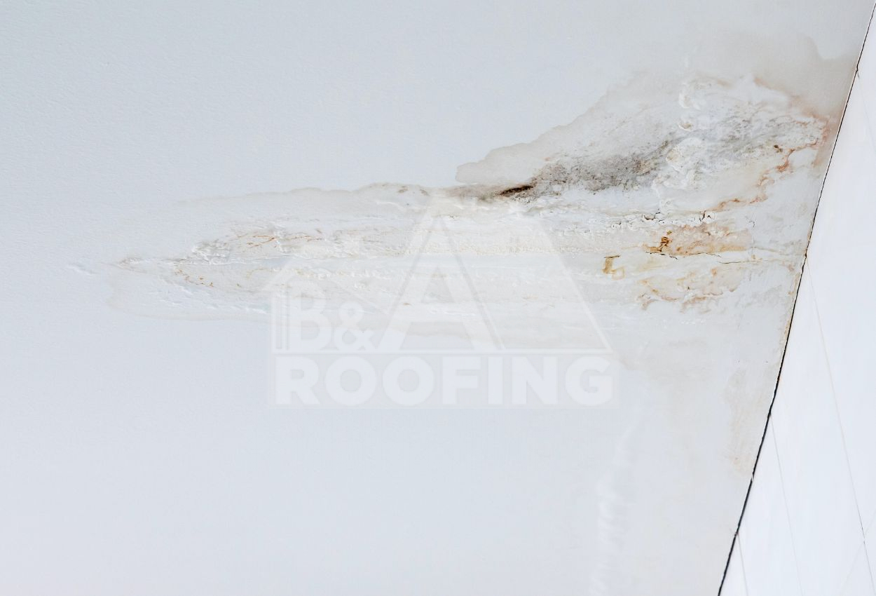 How To Handle Lost Roof Shingles Before It’s Too Late?